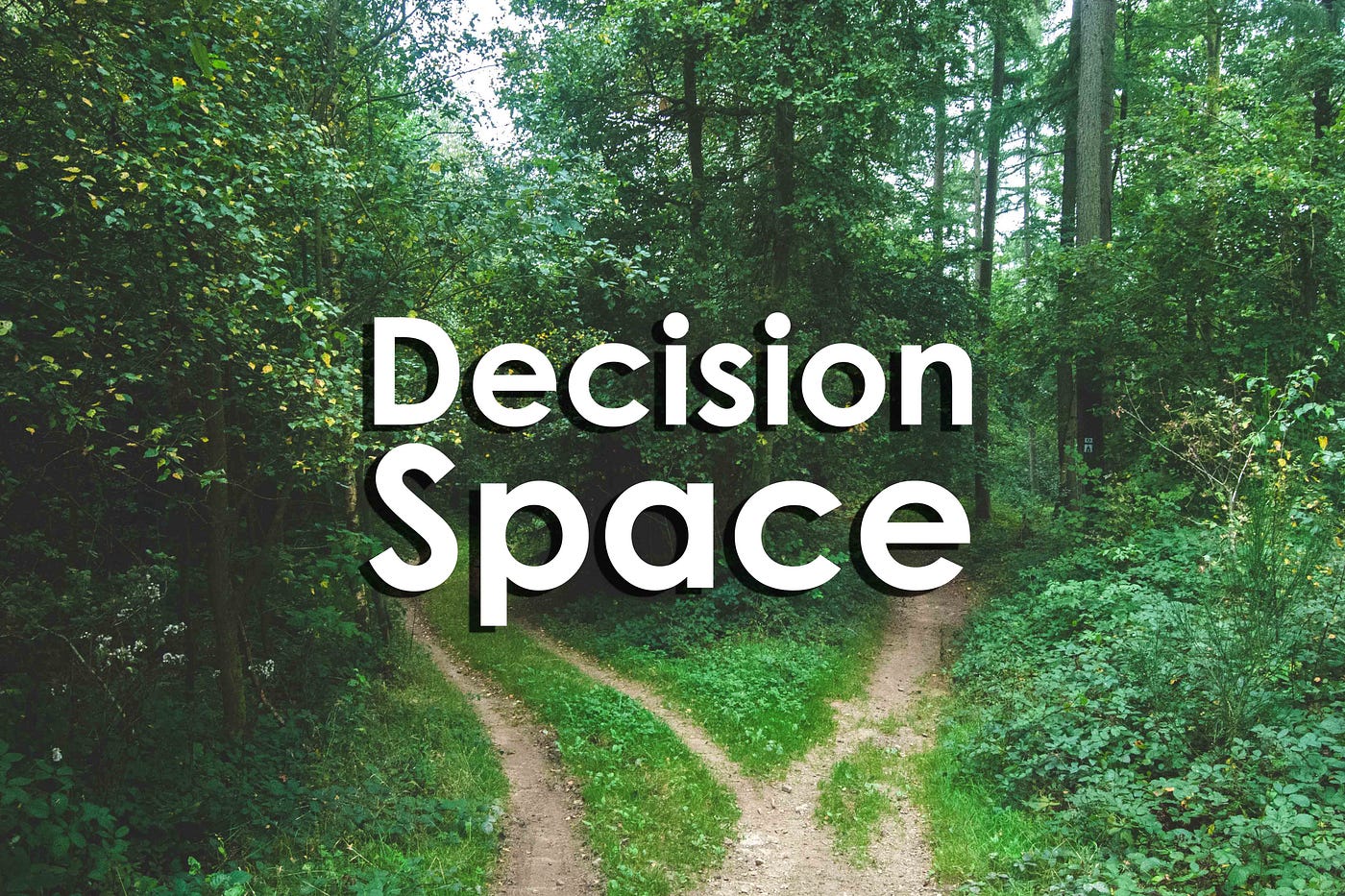 Decision Space. Decision Space | by Dave Eng | Medium