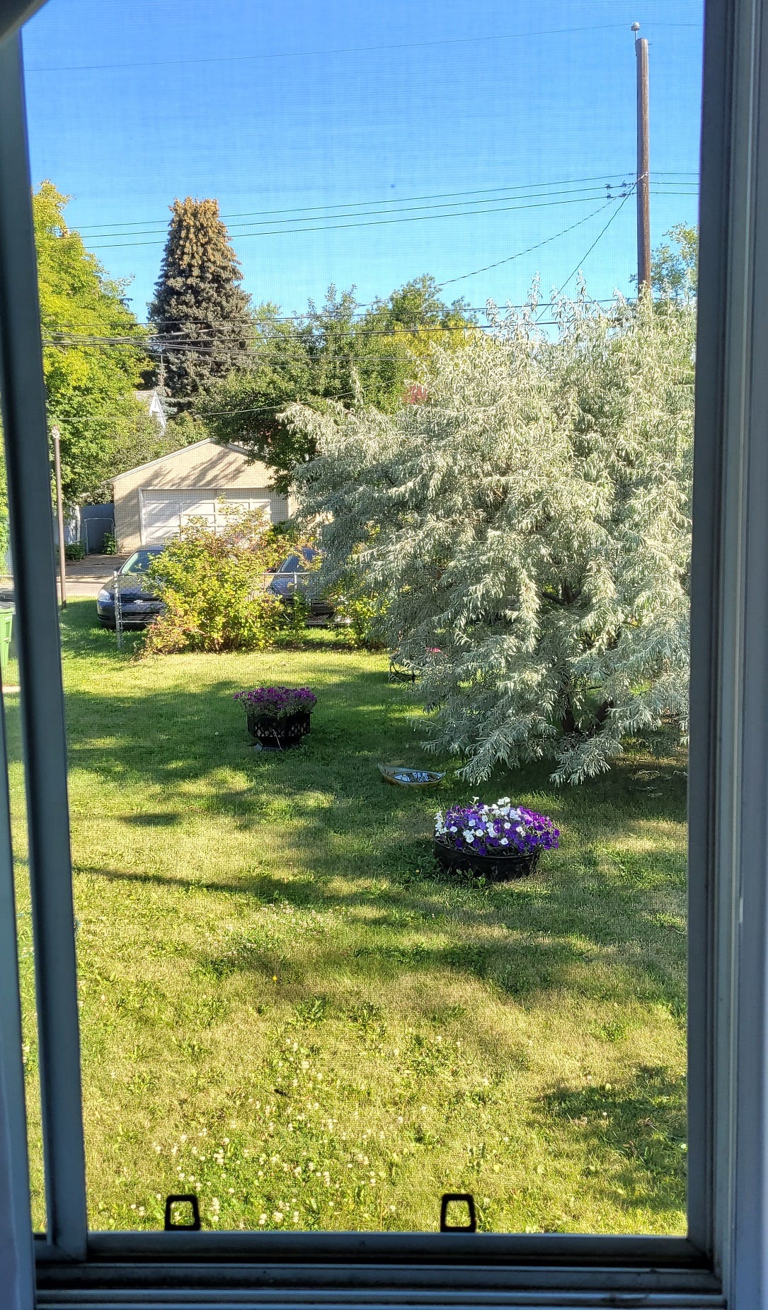 I Like the Windows Opened Wide. And I’ll keep them open until they ...