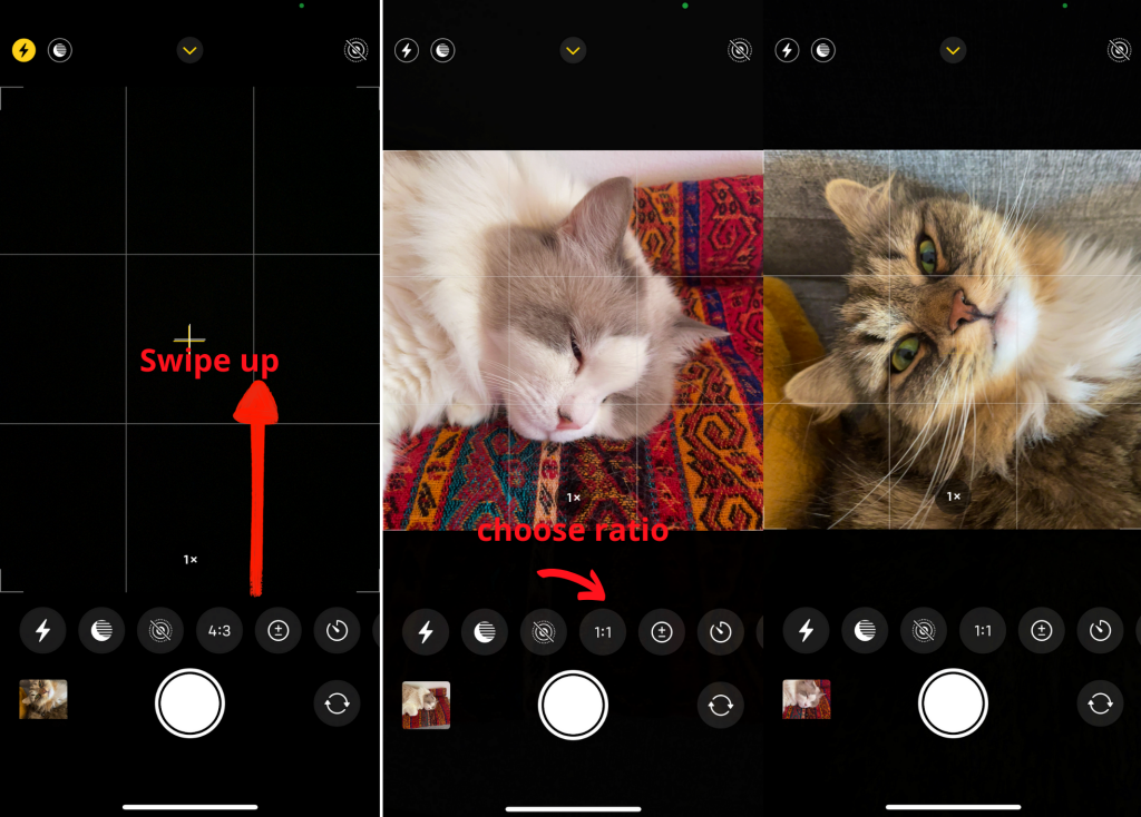 5 Cool iPhone Camera Features You’re Probably Not Using | by Ronke ...