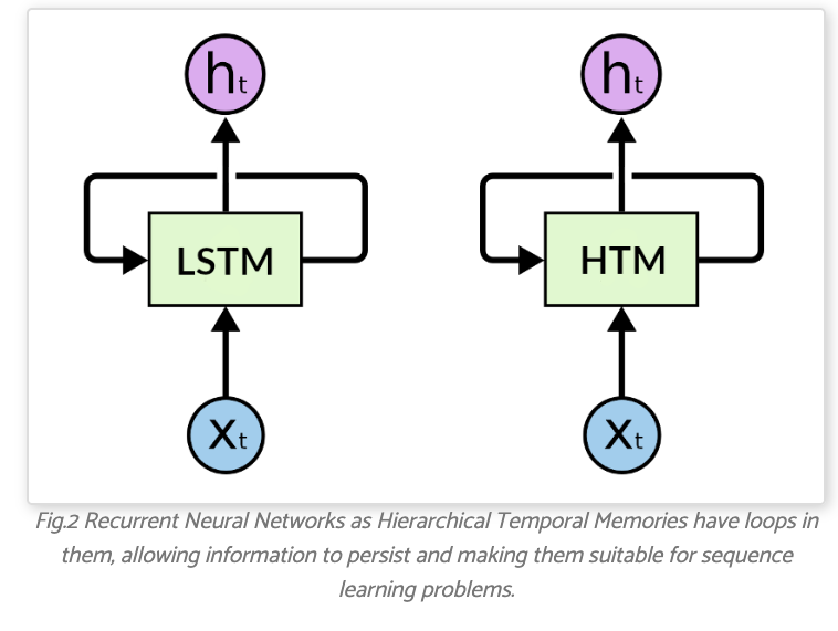 Hierarchical Temporal Memory (HTM) | by Tanli Hsu | Medium
