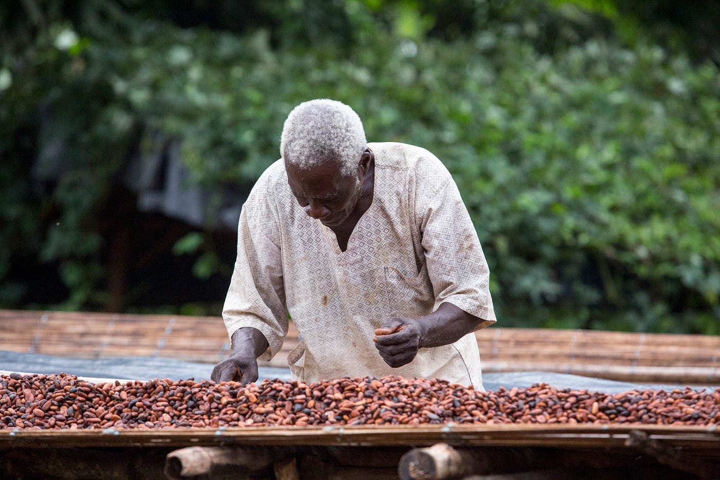 Paving the Way for Premium-Quality Chocolate Production in Cote d ...