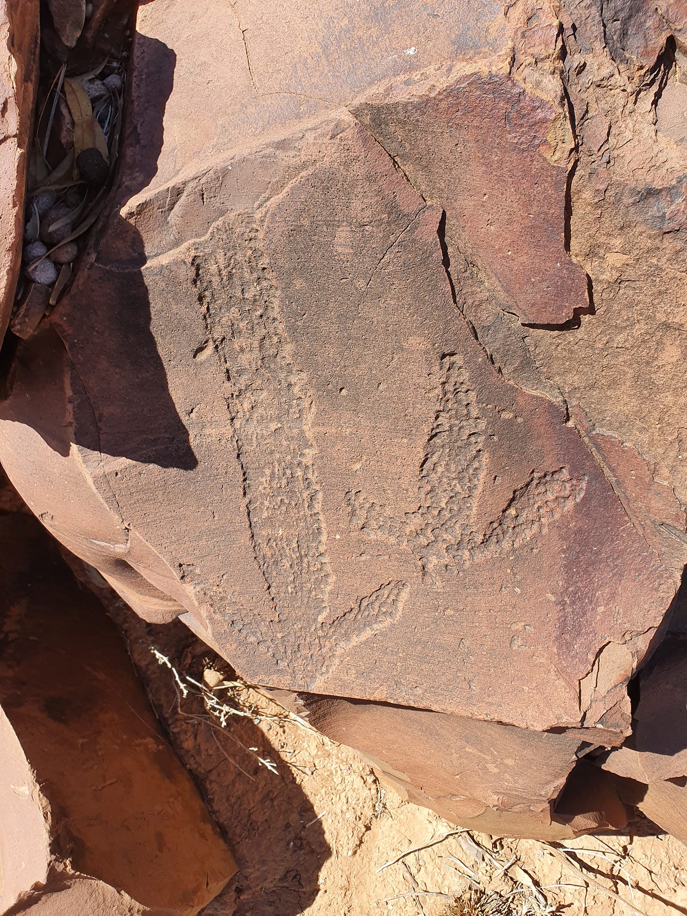 Iga Warta and Marree. The next stage of our trip is in the… | by ...
