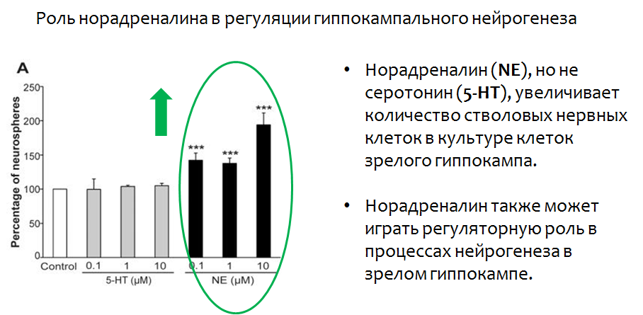 Молекулярные аспекты патогенеза депрессивных расстройств | by Alex ZVY | Open Longevity RUS | Medium