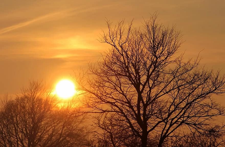 Sol de invierno. He notado que existen ciertos… | by Flor dorada | Medium