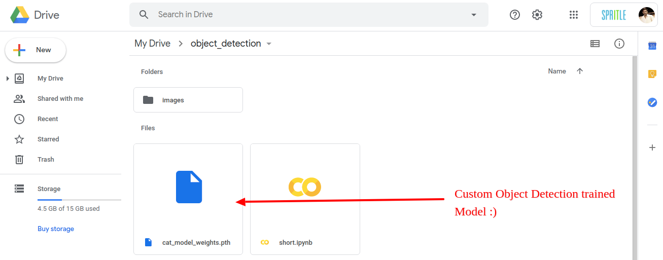 Deep Learning — Build object detection models using Detecto | by ...