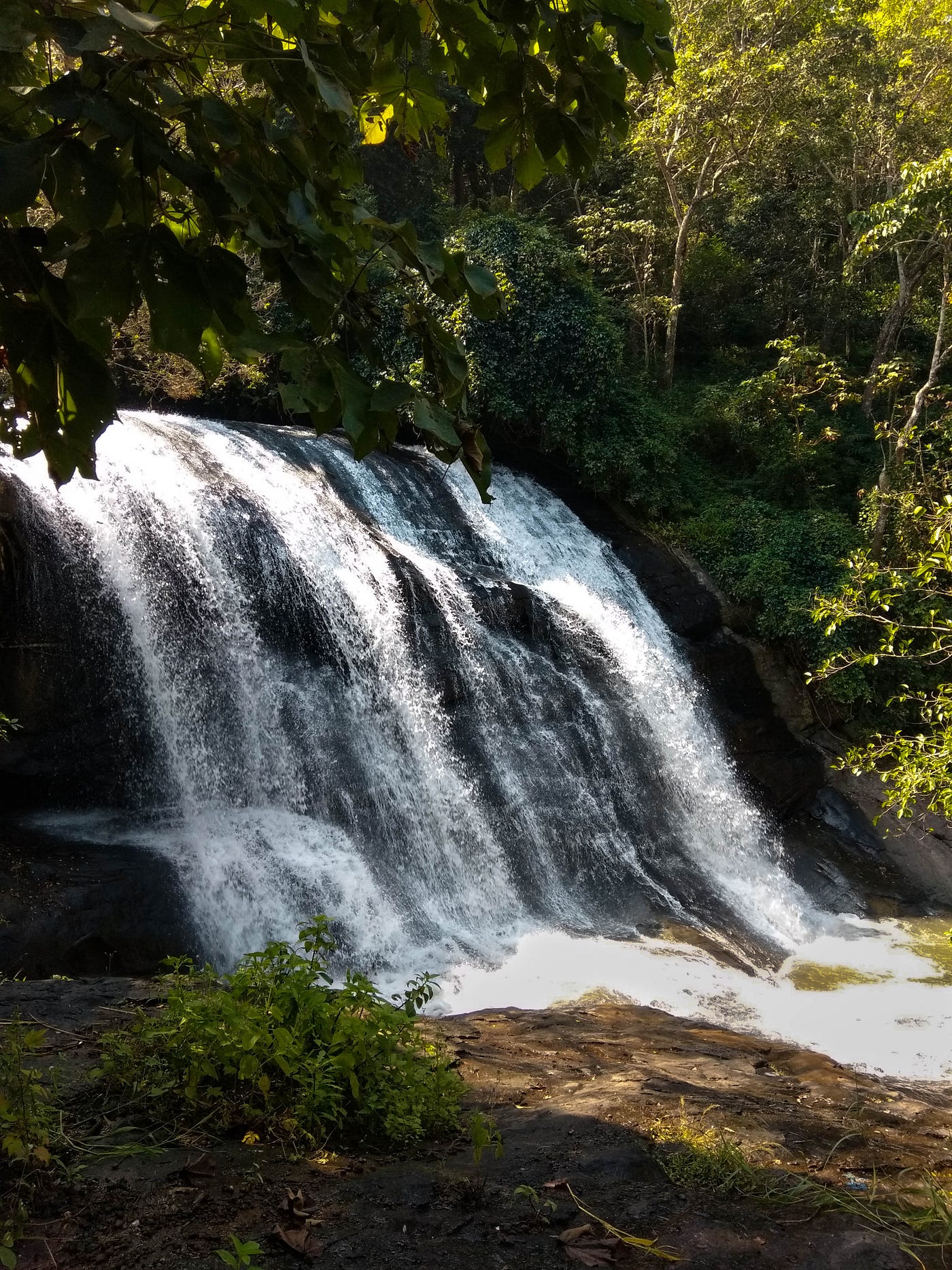 ‘Stars and Falls’ Nature Camp. Hike to the ‘Yerravaram’ valley amidst ...