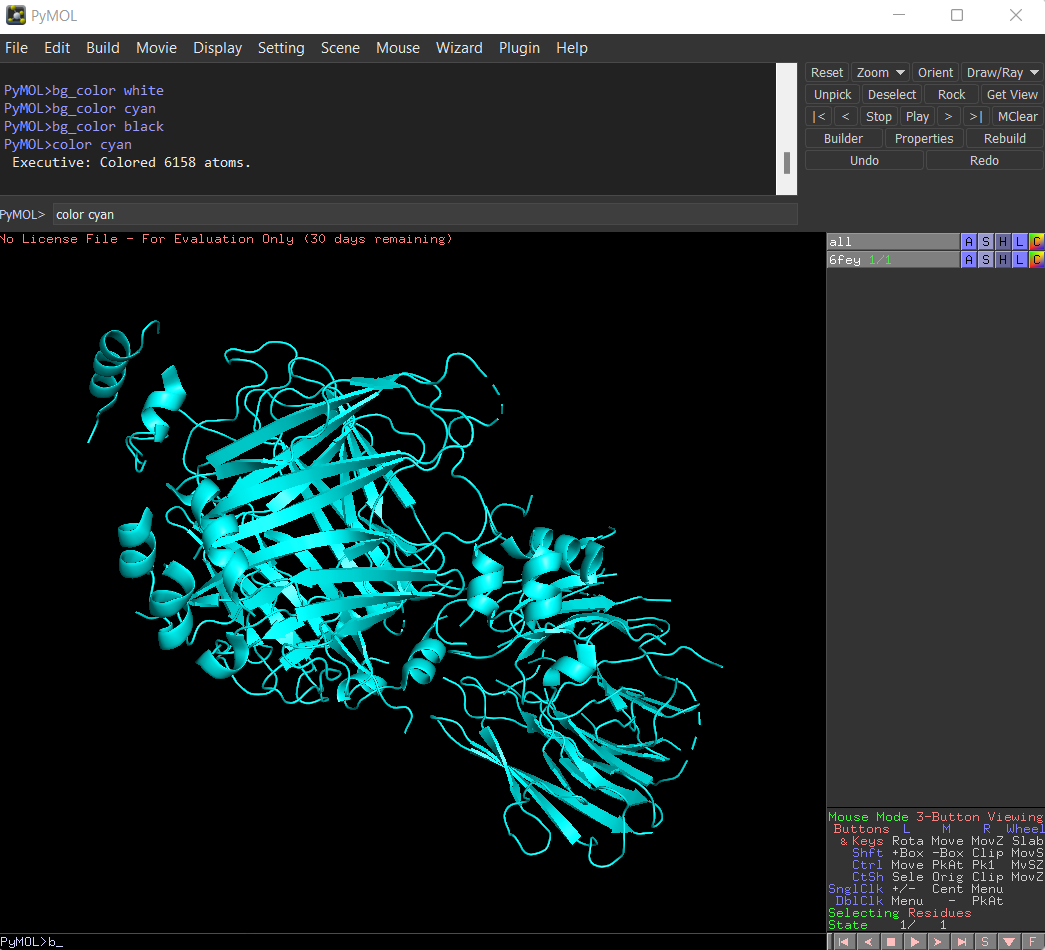 PyMOL: 10 very basic commands that you really need to know- Part 2 | by The Bioinformatics ...