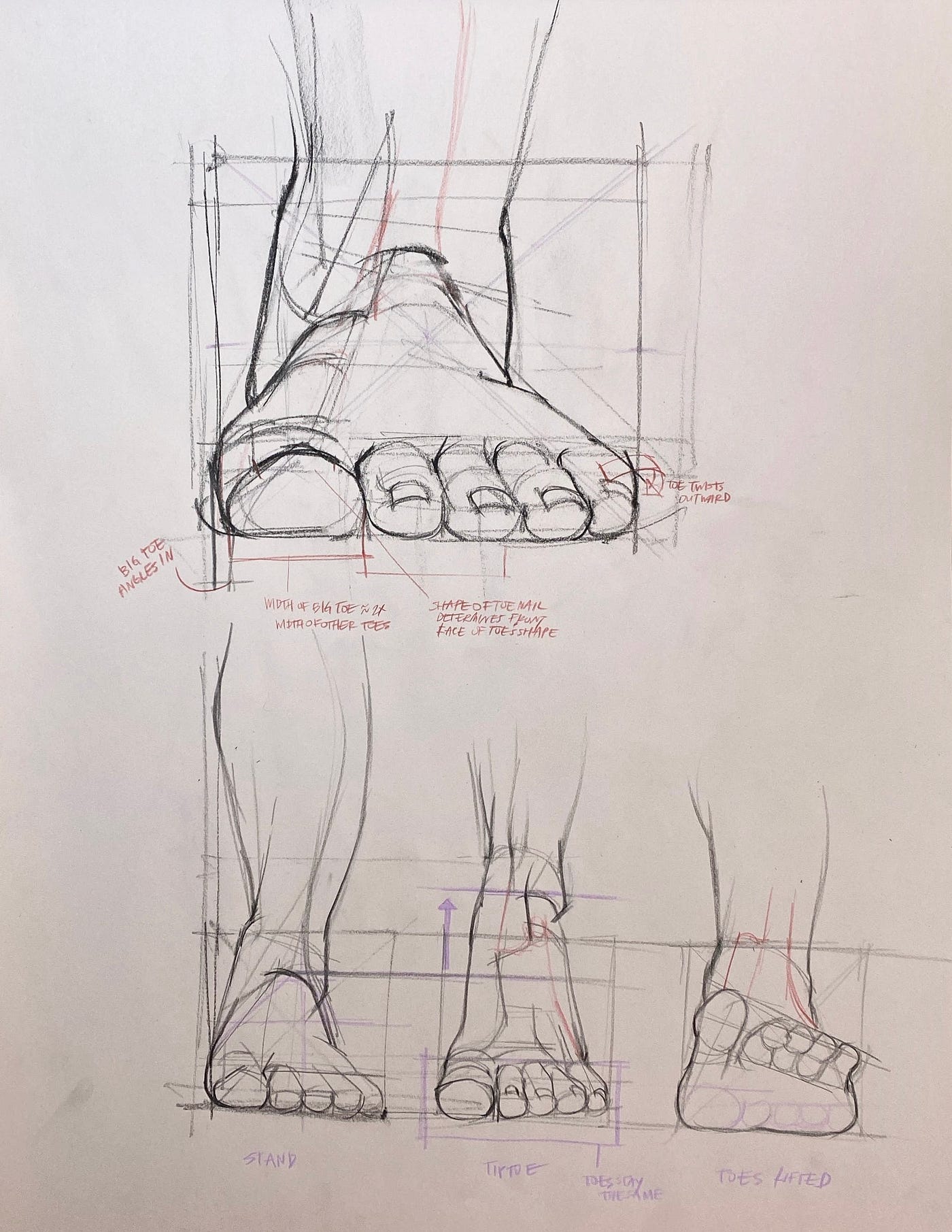 Foot Front View Drawing