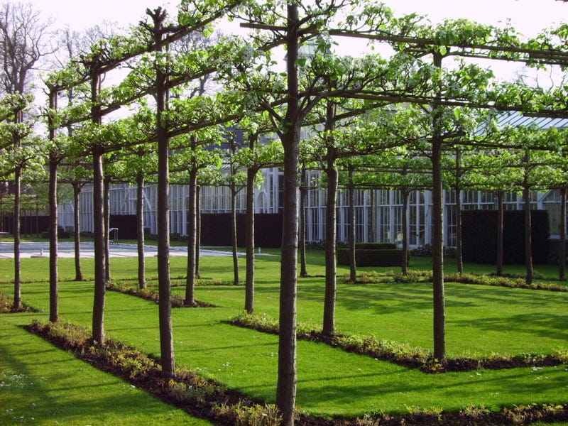 Biofabrication 101. Taking biological design beyond GMO… | by Christina ...
