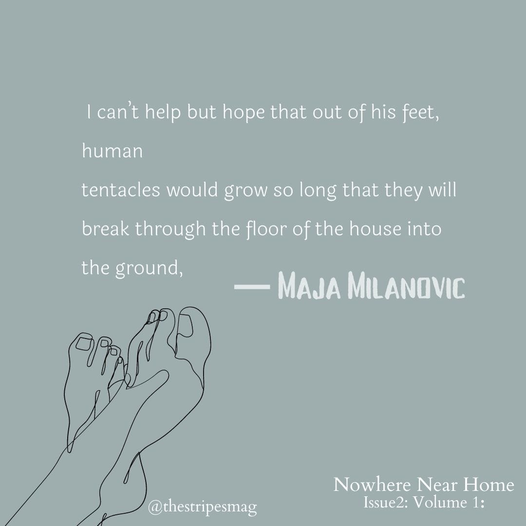 Interview Series: Moments with Maja Milanovic (NOWHERE NEAR HOME) | by ...