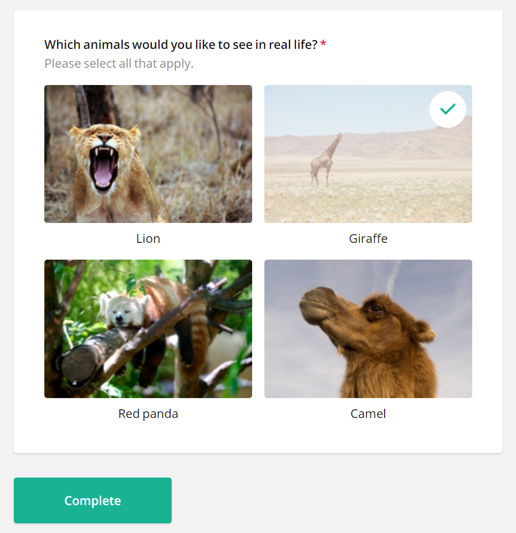 SurveyJS: Recent Enhancements and Demo Updates | by SurveyJS | Sep ...