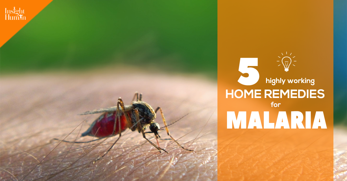 5 Highly Working Home Remedies for Malaria | by Dinesh Kumar | Insight ...
