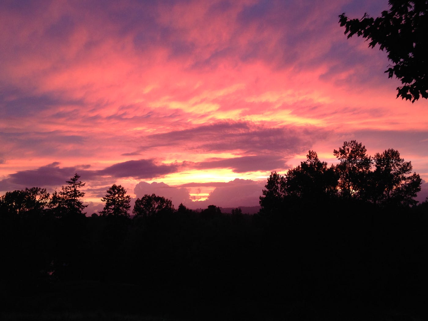Six-Day Cabin: What we learned in the woods | by Aaron Flack | Medium