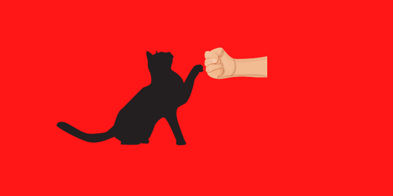 How To Teach a Cat to Fist Bump | Creatures