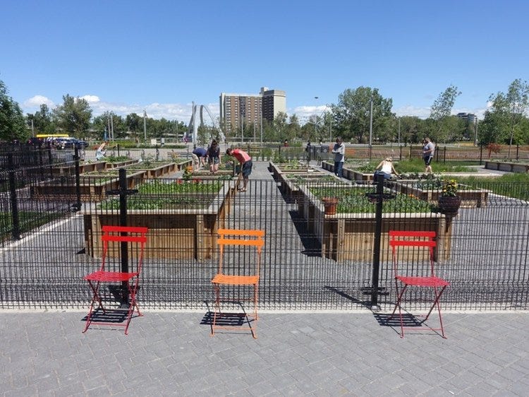 Calgary and Community Gardens. My City, My Issue | by Danielle Gervais ...