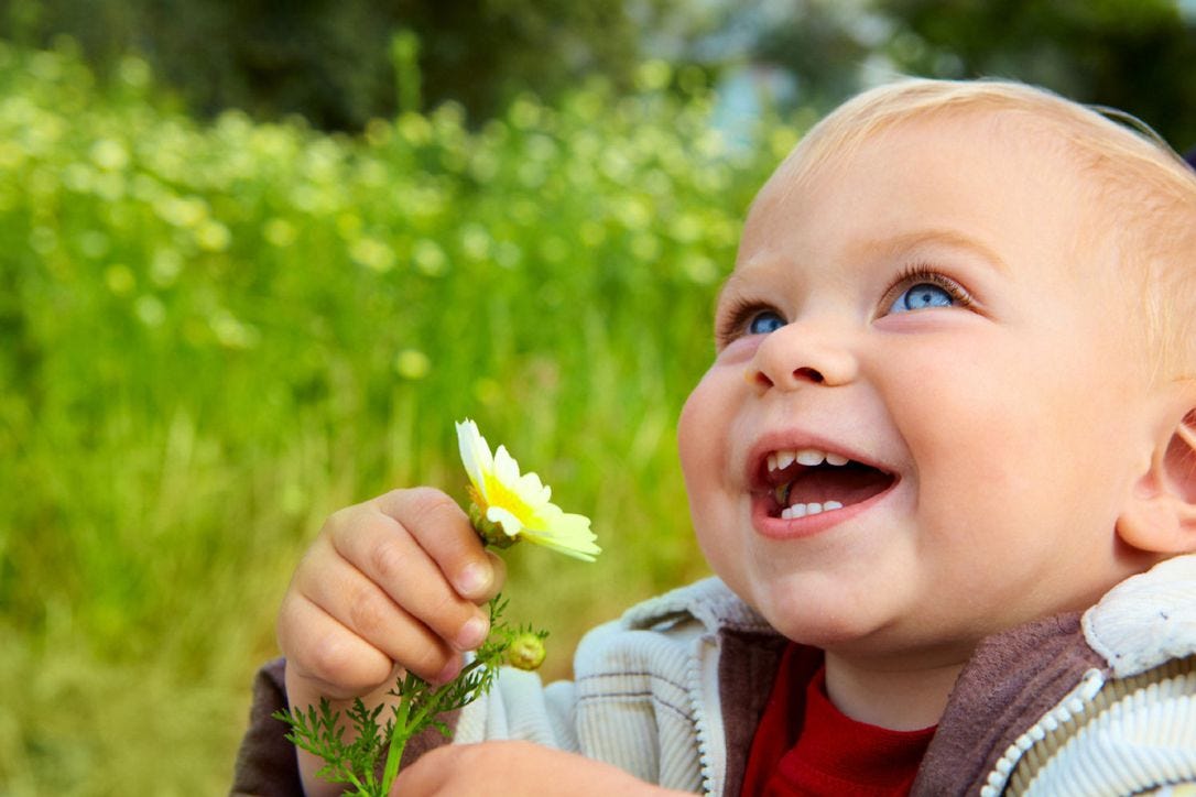 Discovering True Joy In Your Life — No Matter What The Circumstances ...