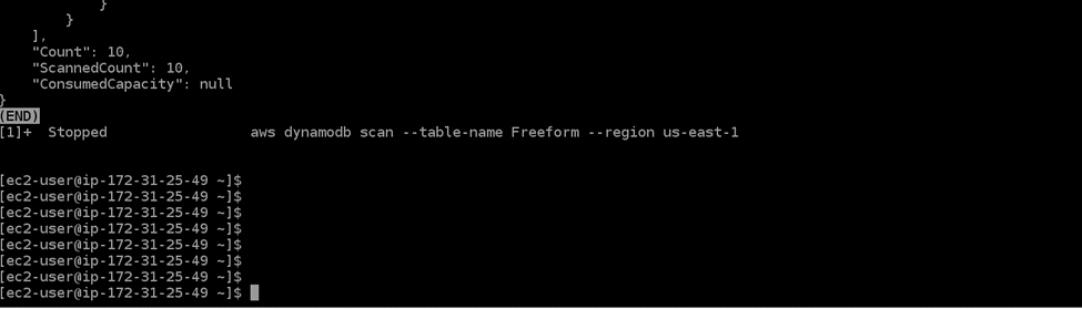 Using Aws Cli To Scan Your Dynamodb Table For Fast Results And Also To Validate Readonlyaccess