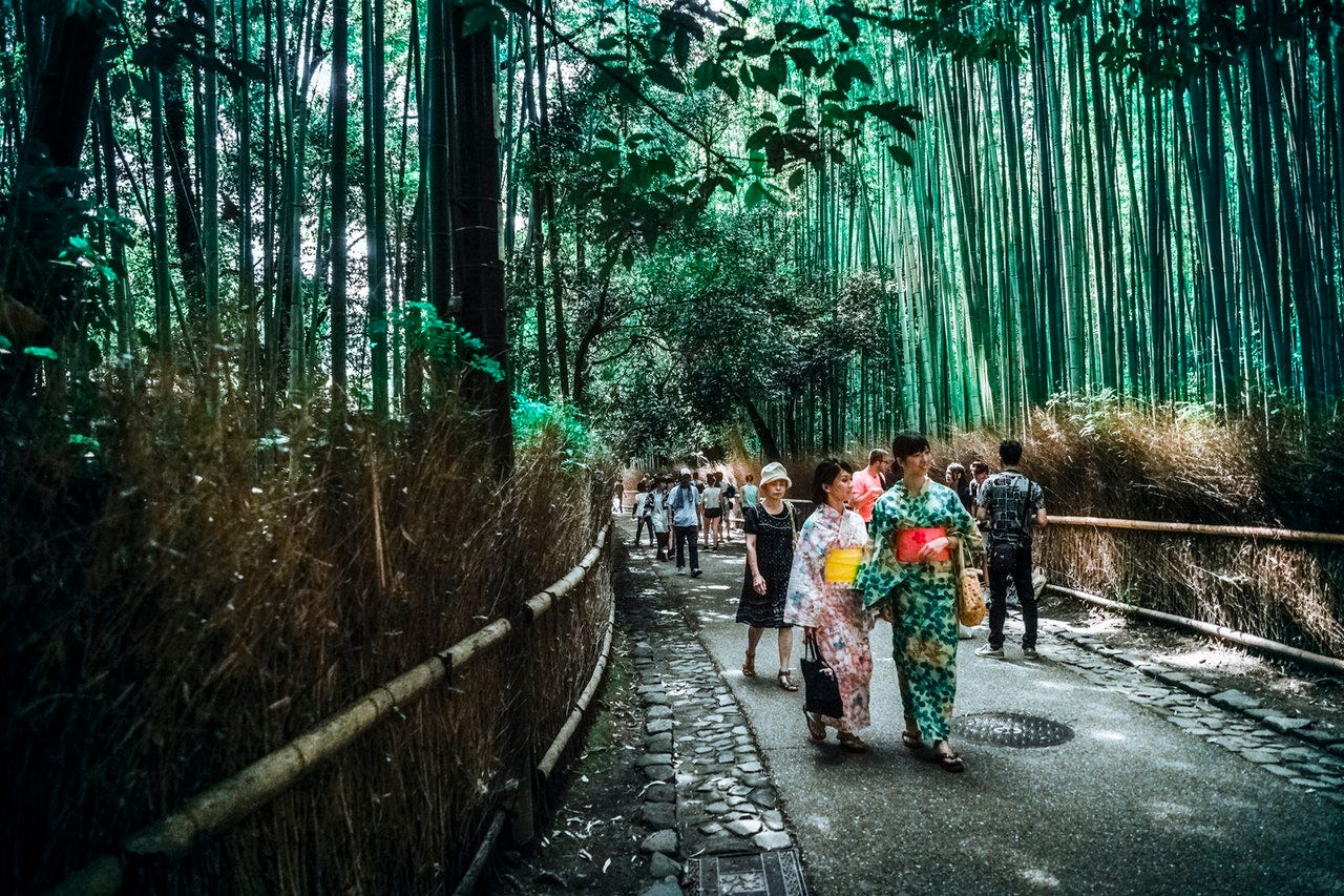 JAPAN : The Land of Perfect Harmony Between Technology and Tradition ...