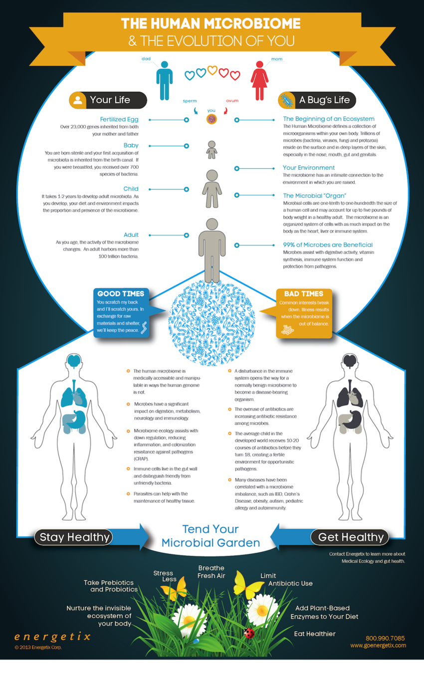 Gut Feelings: The Microbiome’s Role in Major Depressive Disorder | by ...
