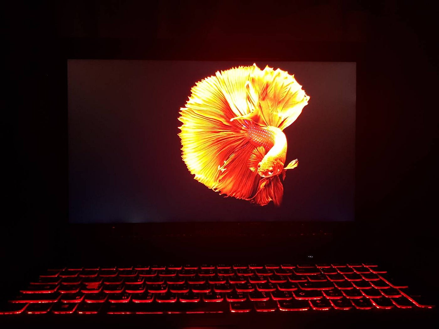 WHAT IS THE LIGHT LEAKAGE SCREEN? IS IT A SCREEN WITH REAL FLAWS? | by ...