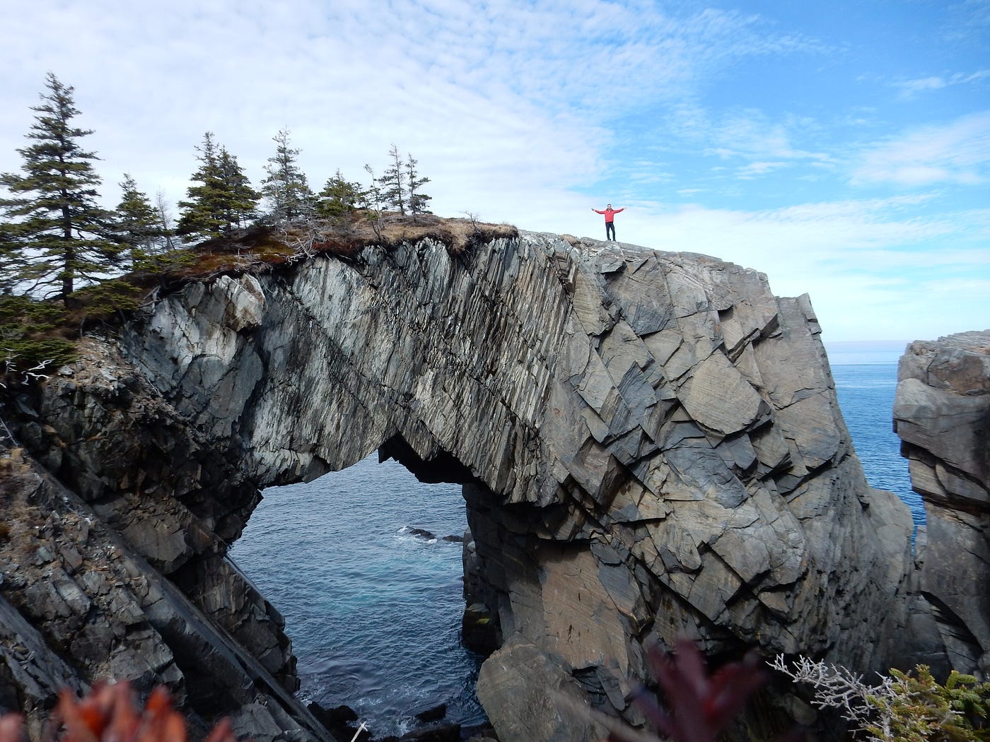 Why Newfoundland will steal your heart — Part 2 | by Daniel Miller | Medium
