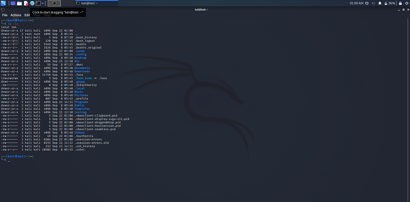 How to use Kali Linux for beginners | part1 | by TechnoBoy Lucky | Sep ...