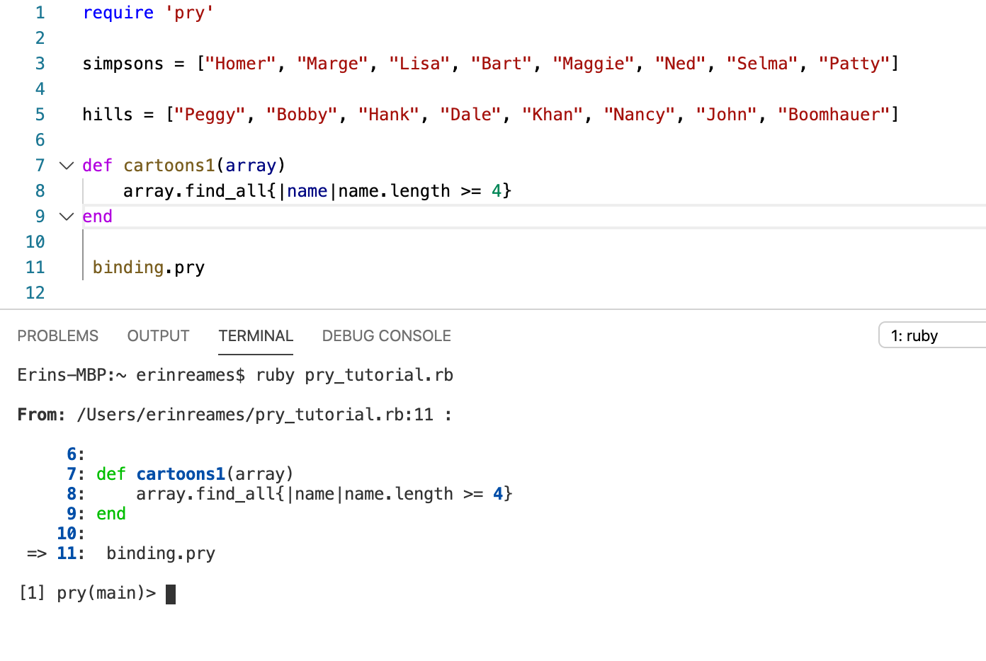 Pry at a Glance. During my first two weeks at Flatiron… | by Erin ...