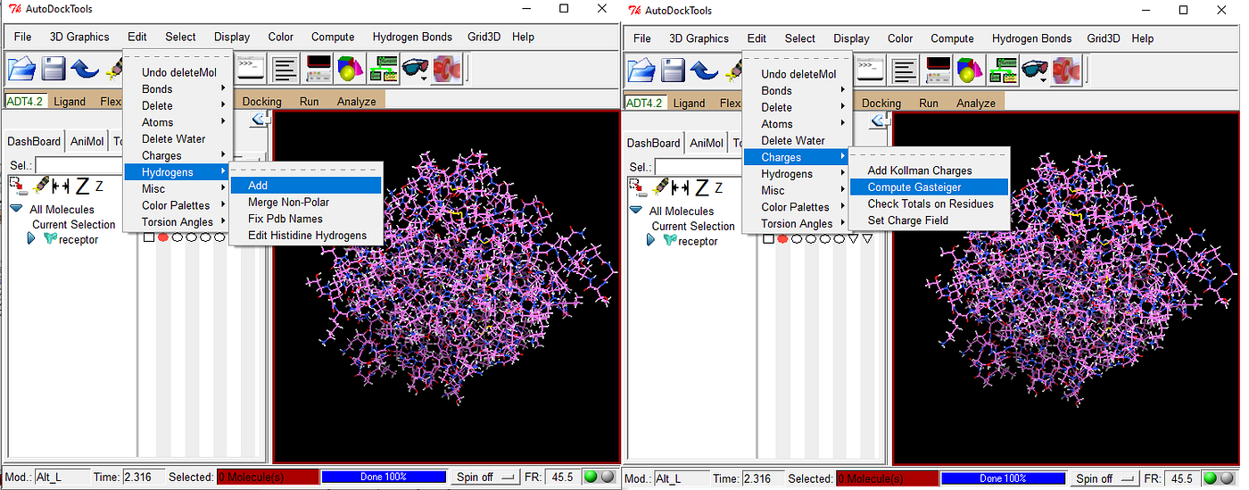 Tutorial: Docking Molecular com o AutoDock Tools | by Alessandra Neis | omixdata | Medium