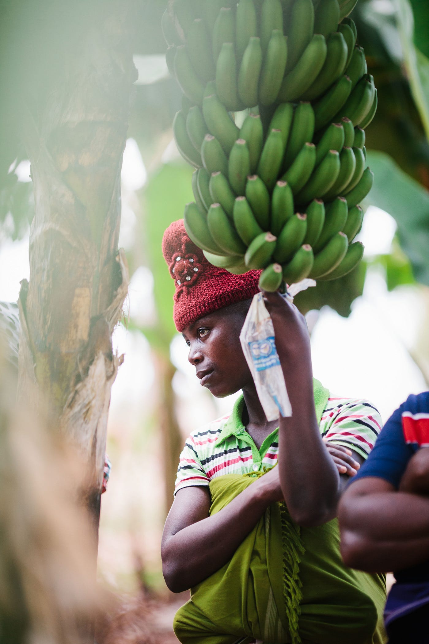 How to fight poverty: an interview with Meike van Ginneken, CEO of SNV ...