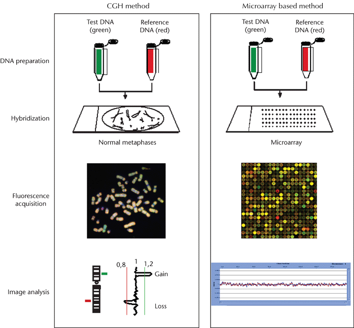 Cnvs Copy Number Variants — Context Detection Methods And Exploratory Data Analysis With