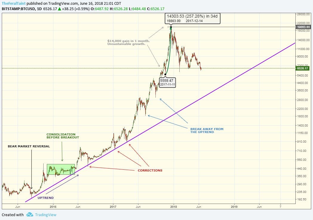 Bitcoin Market Analysis: The Blow Off Top | by TheFeralTaint | Medium