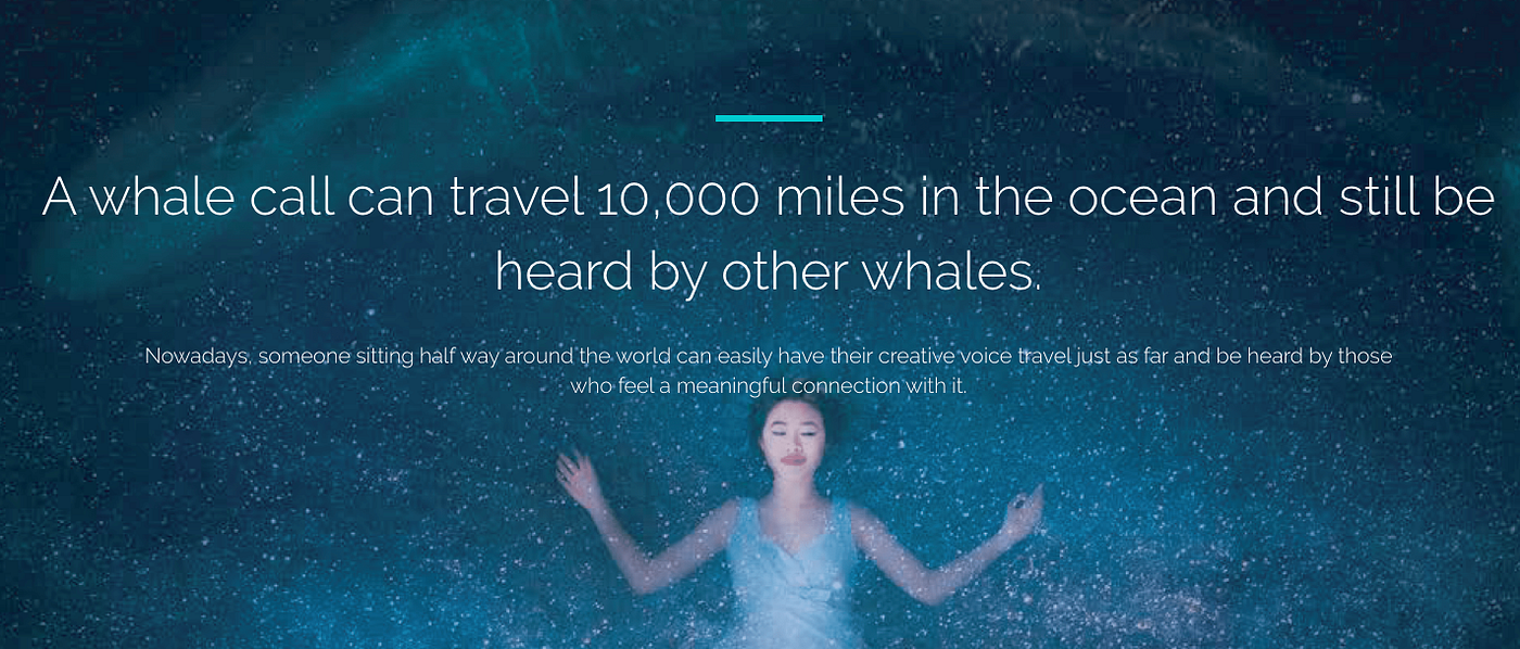Founder Story: Meet Neil Waller, Co-Founder of Whalar | by Liz David ...