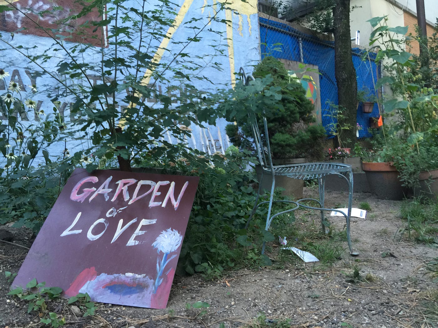 What’s growing in Harlem?. Dozens of community gardens have taken… | by ...