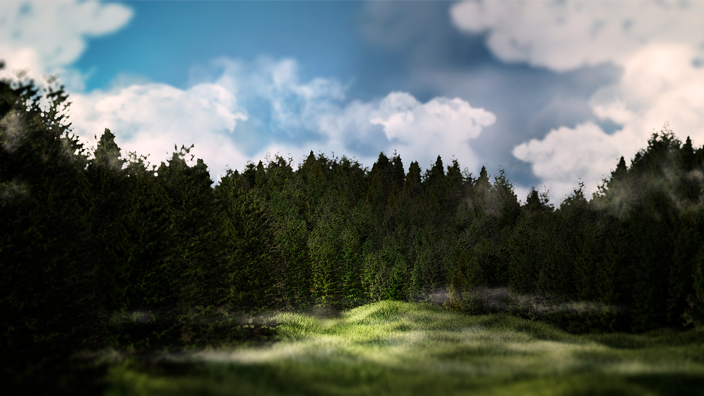 Forest Biome. Forests are one of the best biomes for… | by Kitsumon ...