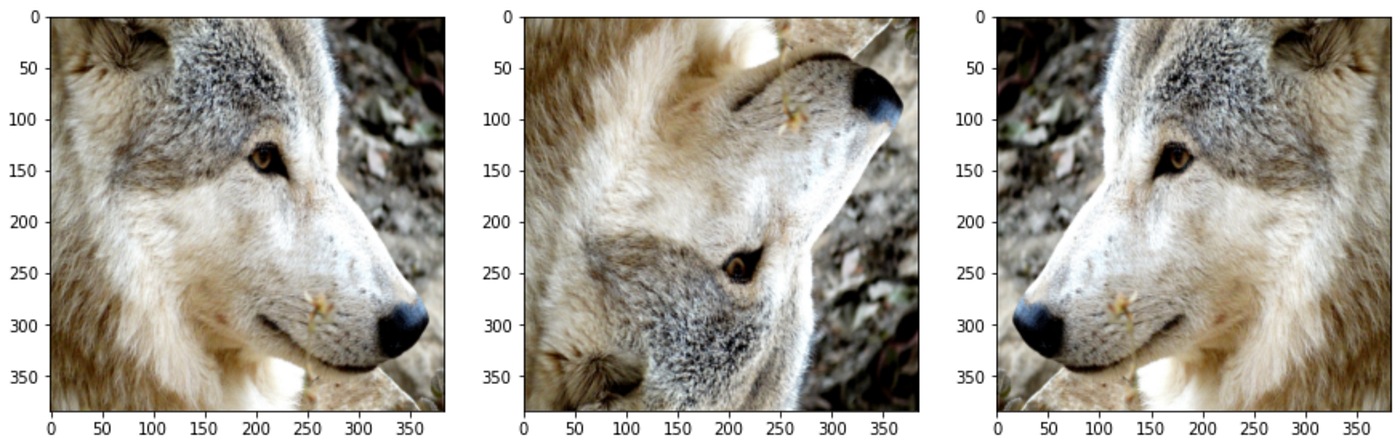 Image Processing With Python. Getting Started | by Kayathiri ...