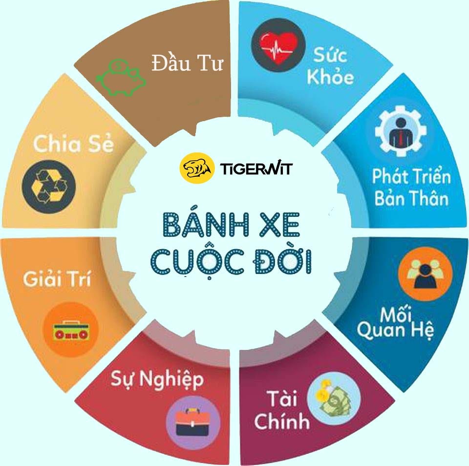TigerWit Việt Nam – Medium
