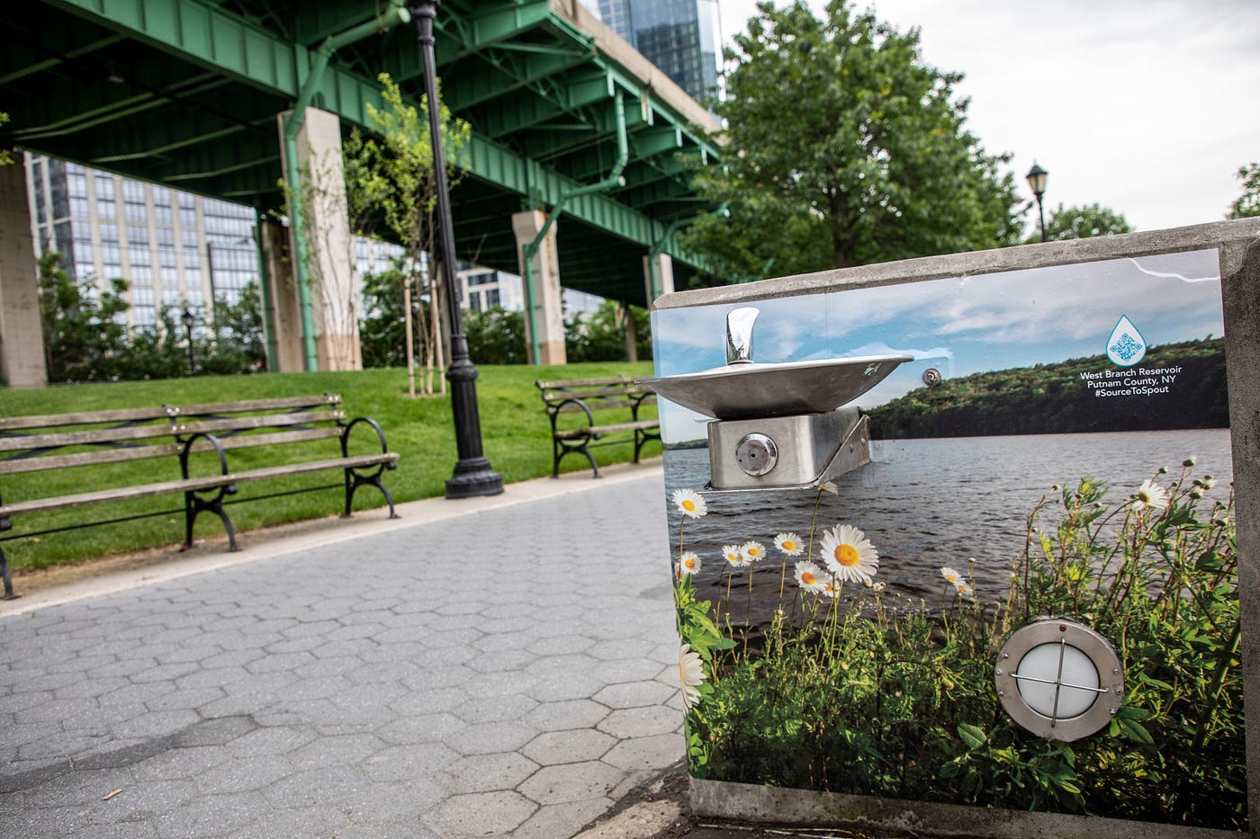 Artist Celebrates NYC Watershed - NYC Water - Medium