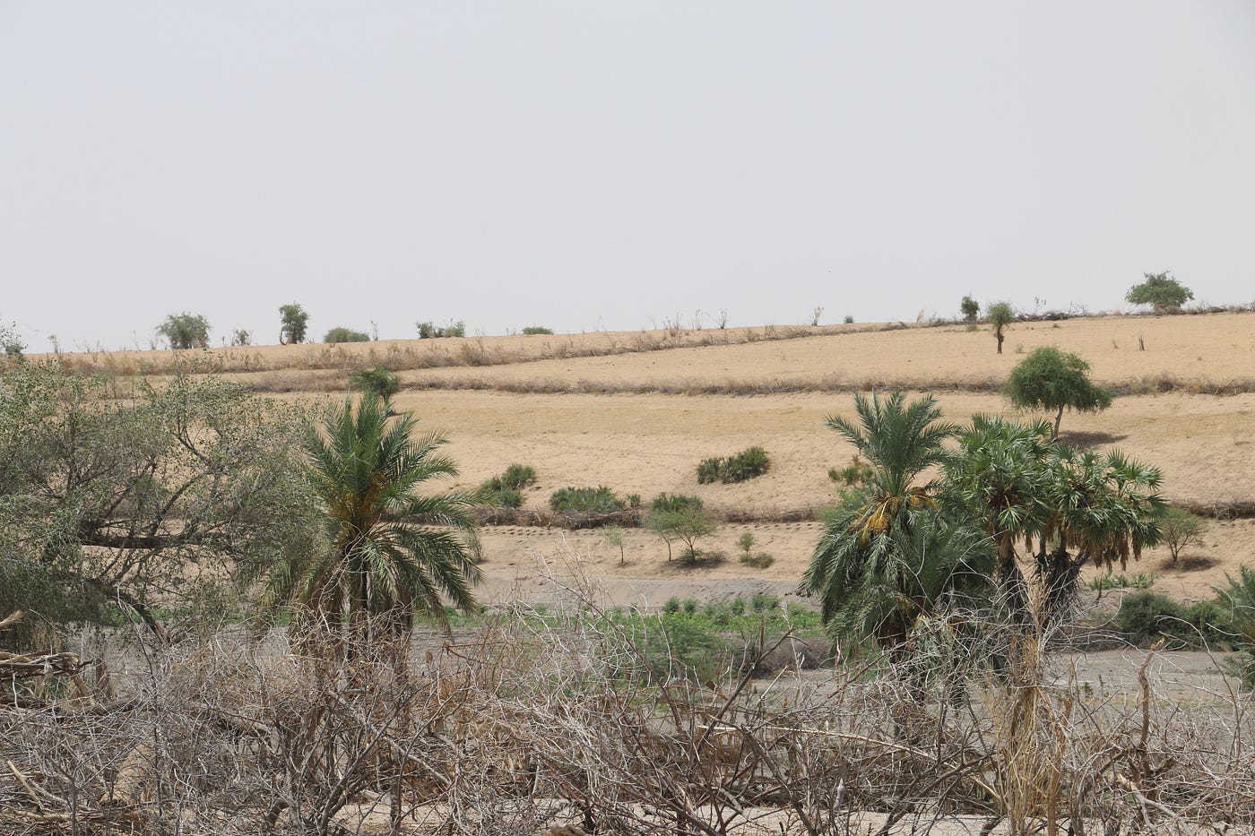 The Sahelian Belt: food for life. WFP and its donors aim to provide ...