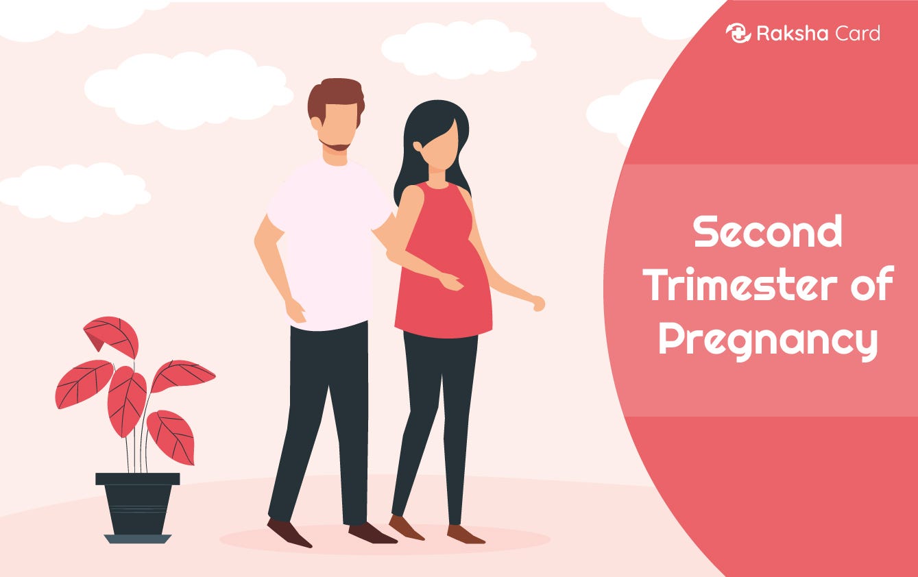 Second Trimester of Pregnancy. The second trimester lies between week ...