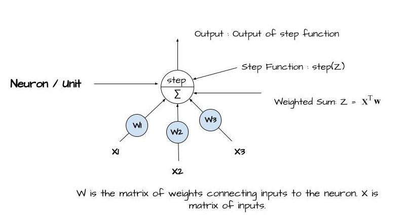 Deep Dive: Artificial Neural Network | by Mrinal Tyagi | Towards Data ...