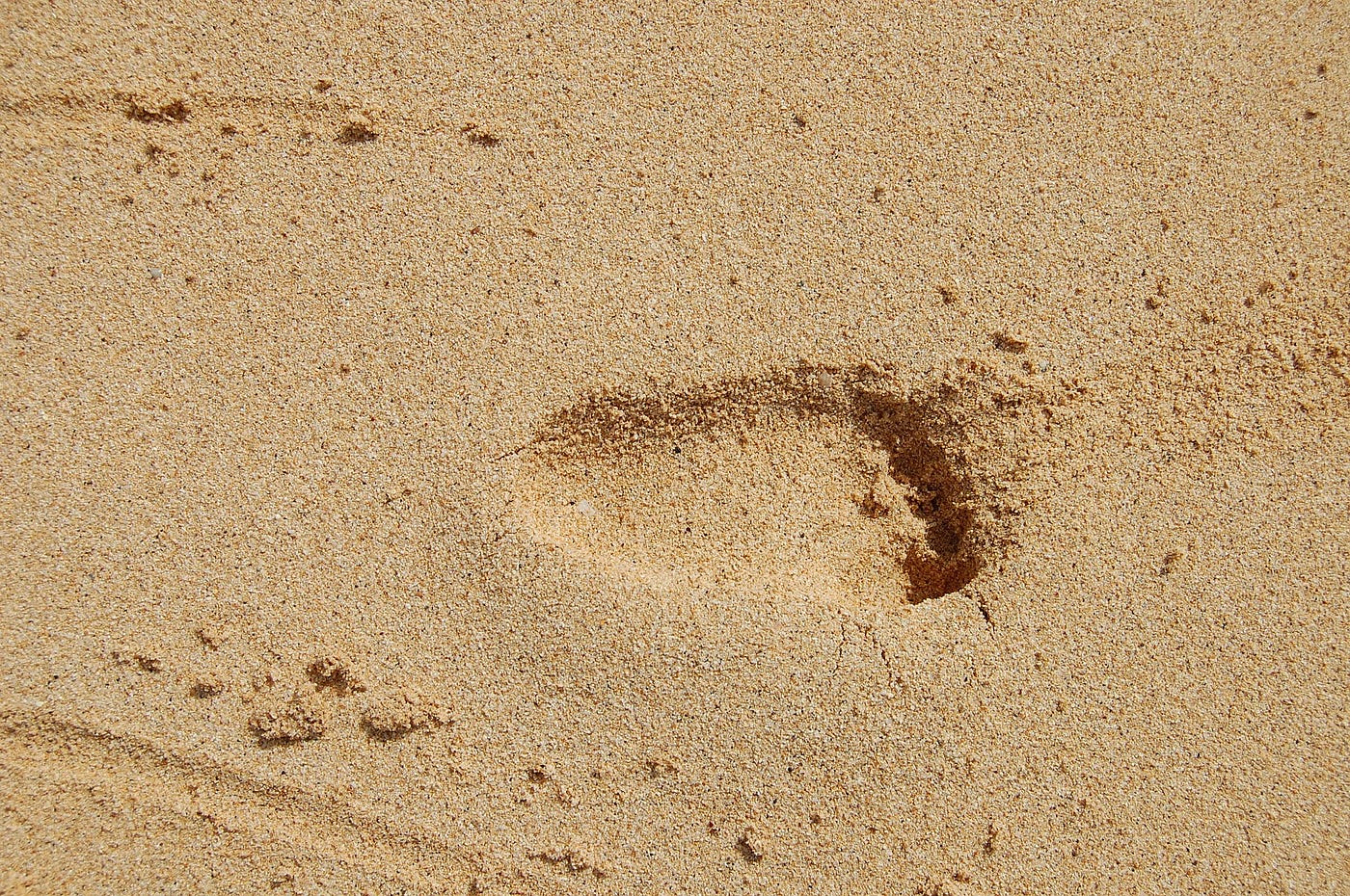 Tiny Footprints. Life’s a beach | by R.L. Morgan | Contemplate | Medium