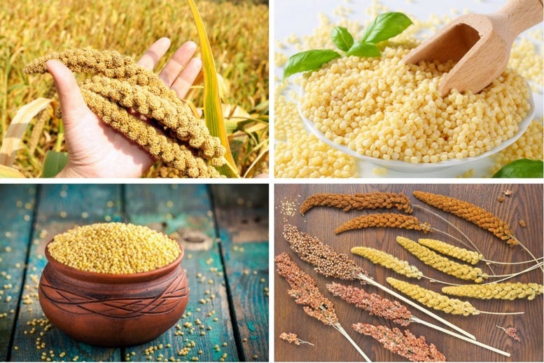 IS THERE ANY NEGATIVE SIDE OF CONSUMING MILLETS? | by Shilpi Khanna ...