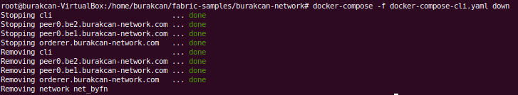 Create a Custom Network and Deploy your own Chaincode with Hyperledger Fabric v2.1 | by Burakcan ...