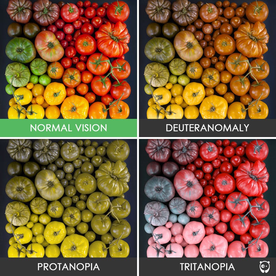Colour contrast in UX. What does it mean to design for… | by Tawni Fus ...