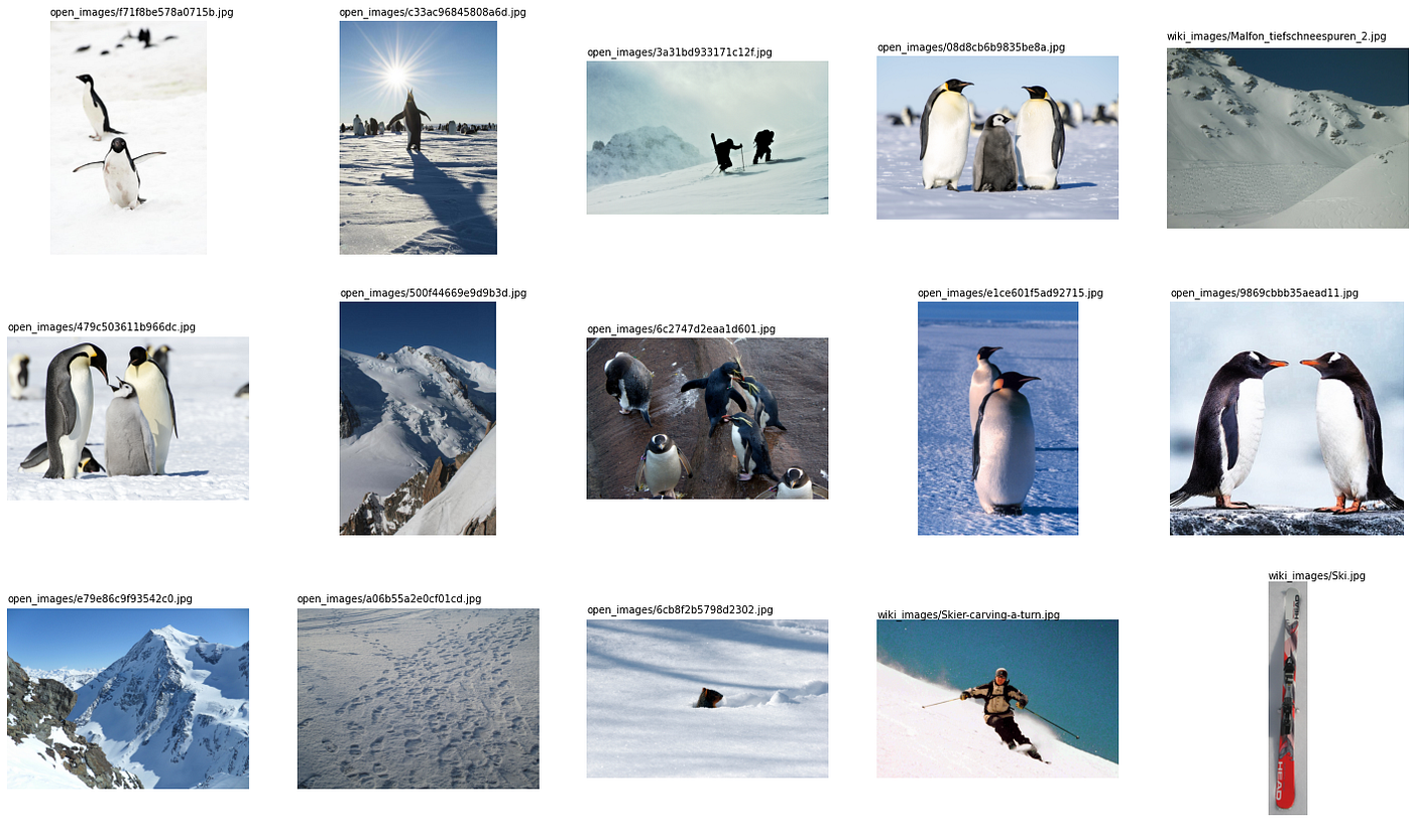 Using AI to Create Collages from Prompts | Towards Data Science