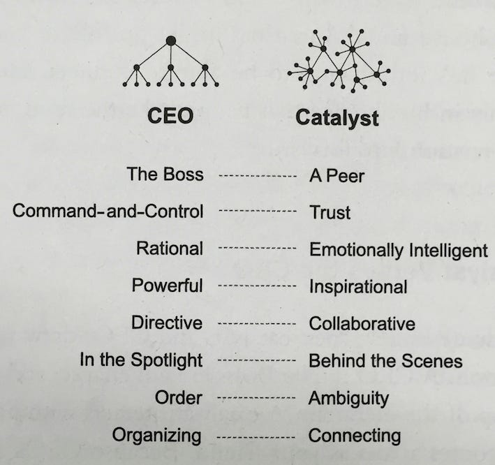 5 Starfish Principles that will Empower your Business | by Daphne ...