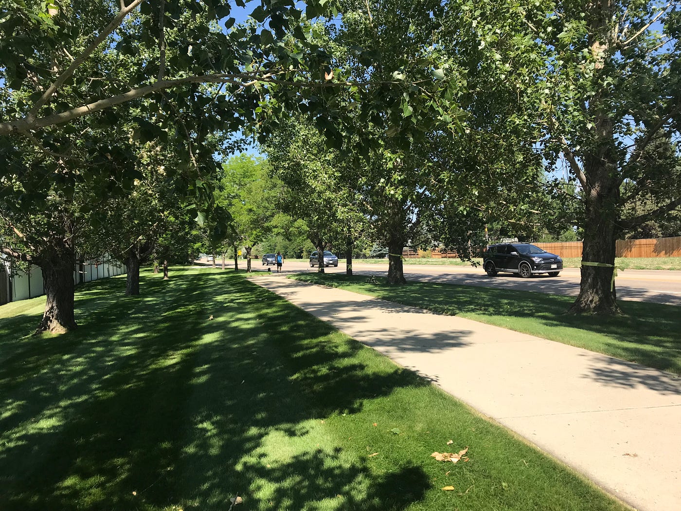 The Terrible, Horrible, No Good, Very Bad Plan for Pike Road… | by ...