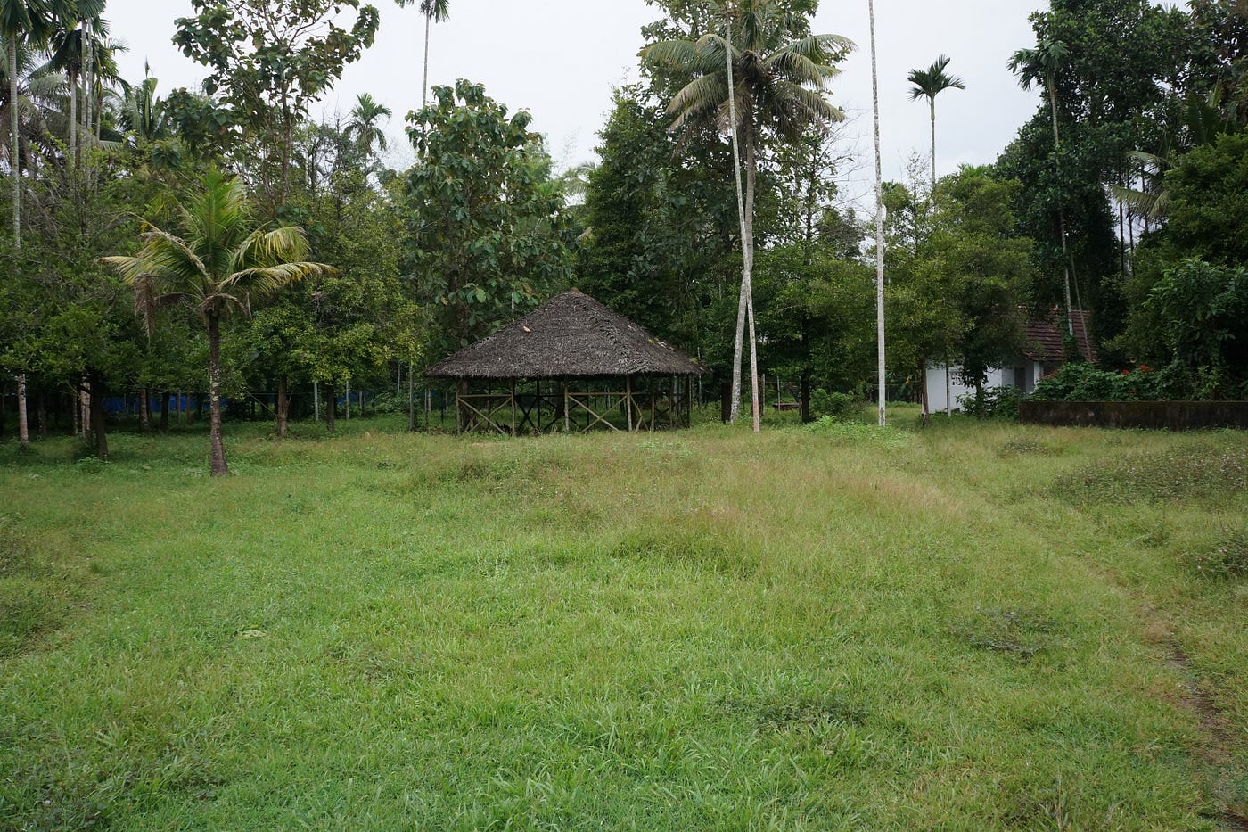 Muziris — India’s little known historical gem | by N S Vinodh | Medium