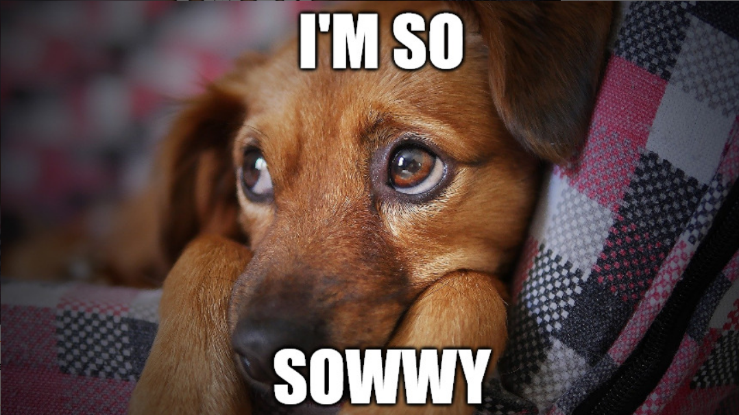 Sowwy, I Didn’t Mean for This to Happen - The Haven - Medium