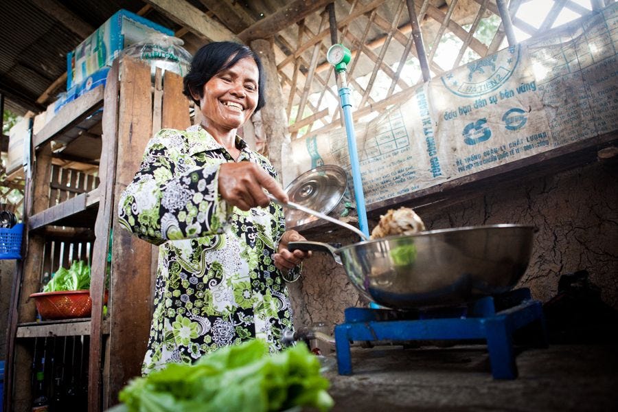How to fight poverty: an interview with Meike van Ginneken, CEO of SNV ...